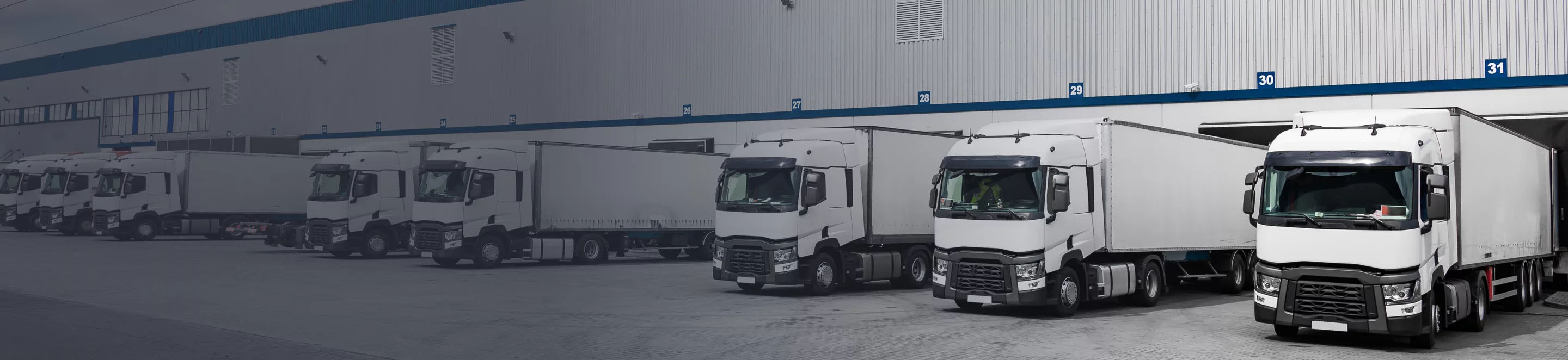 Transportation Benchmarking Data Services | Cass Information Systems